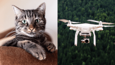 New Camera Inspired by Cat Eyes Improves Low-Light Imaging - iHLS